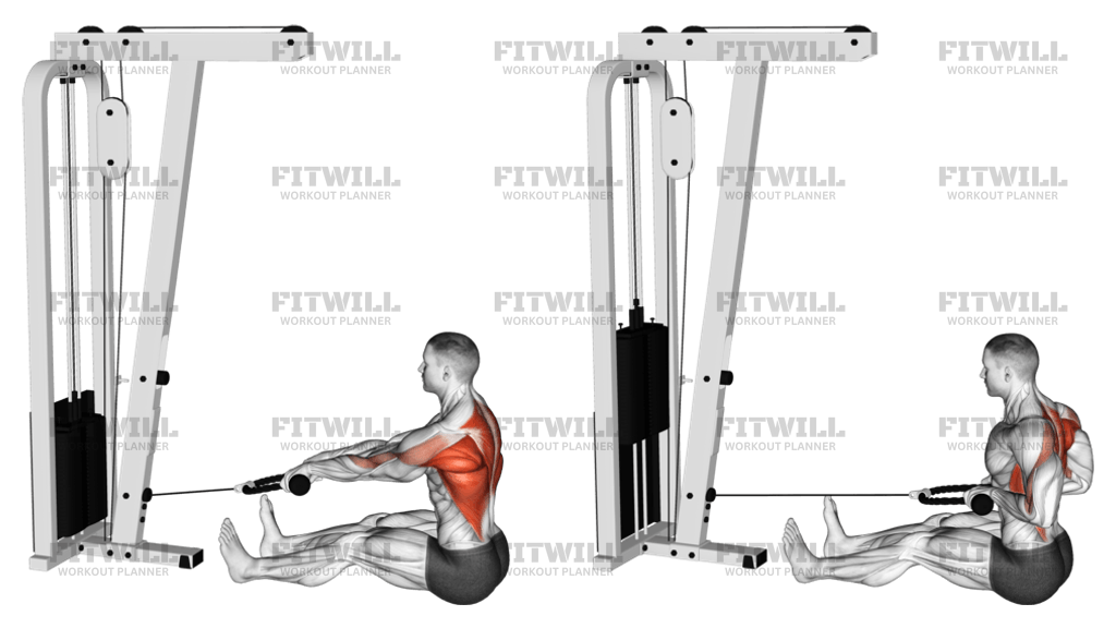 Cable Seated On Floor Row With Rope: Exercise Guide, Video, Techniques ...
