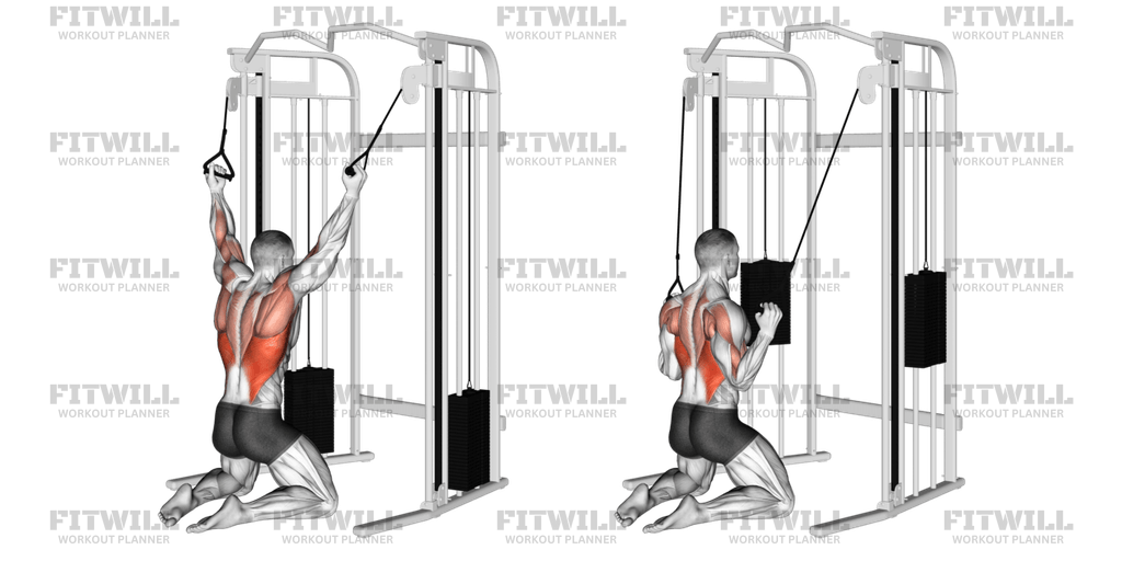 Cable Kneeling Parallel Grip Lat Pulldown: Exercise Guide, Video, Techniques, Benefits, How to ...