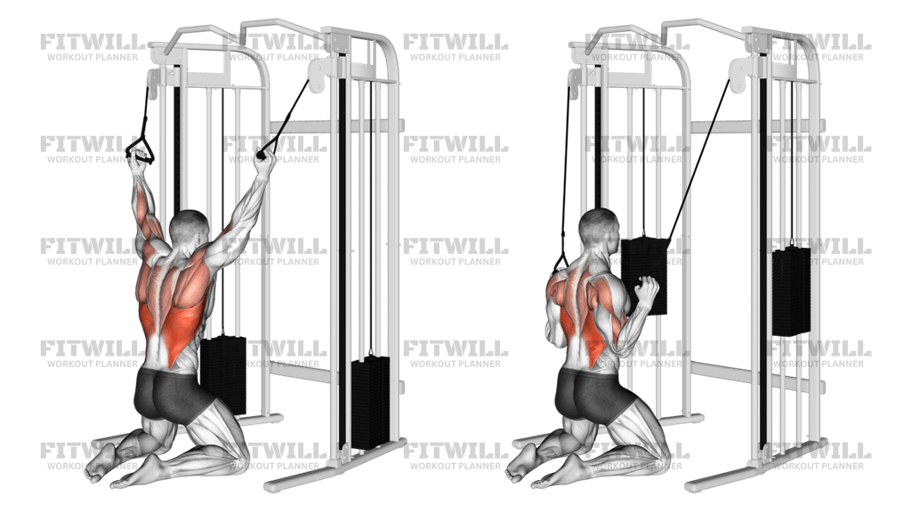 Cable Kneeling Parallel Grip Lat Pulldown: Exercise Guide, Video ...