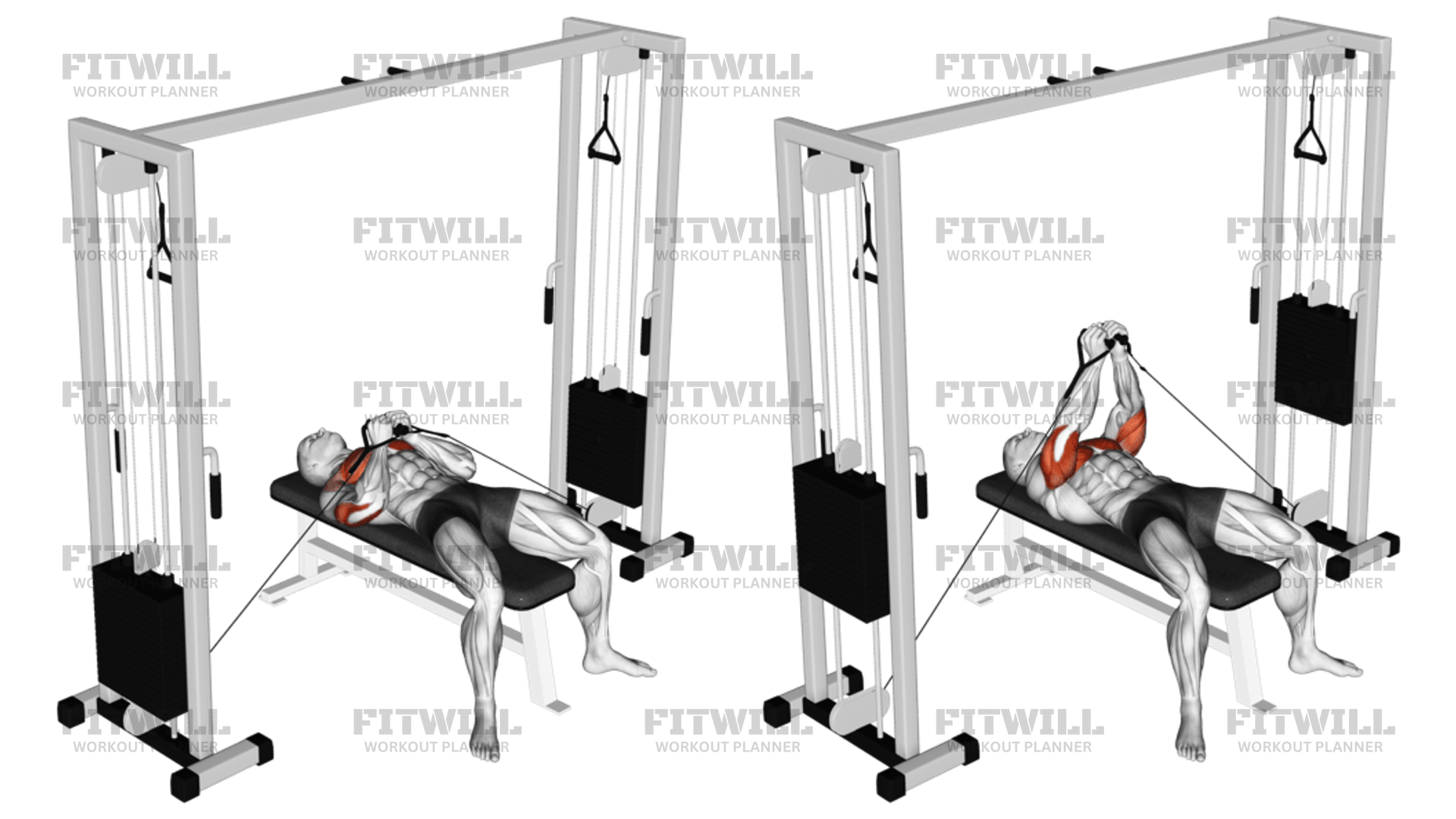 Cable Lying Close Press: Exercise Guide, Techniques, Benefits, How to ...