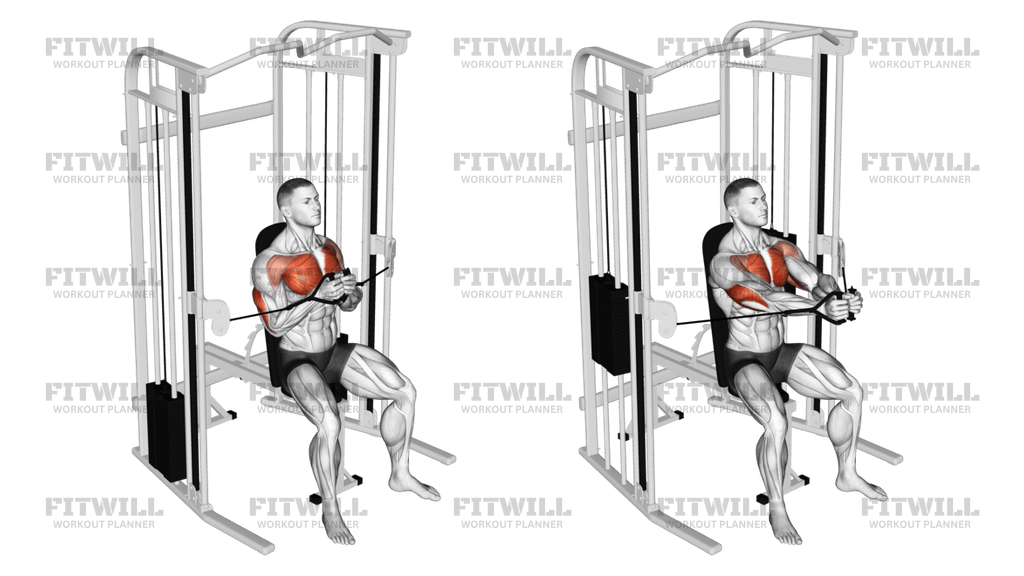 Cable Seating Close Press: Exercise Guide, Techniques, Benefits, How to ...