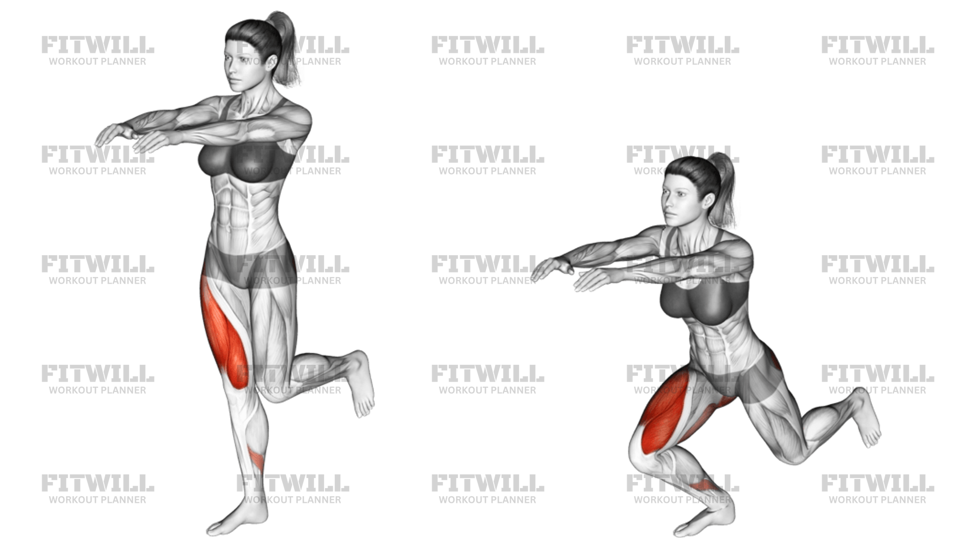 Skater Squat: Exercise Guide, Techniques, Benefits, How to, Muscles ...