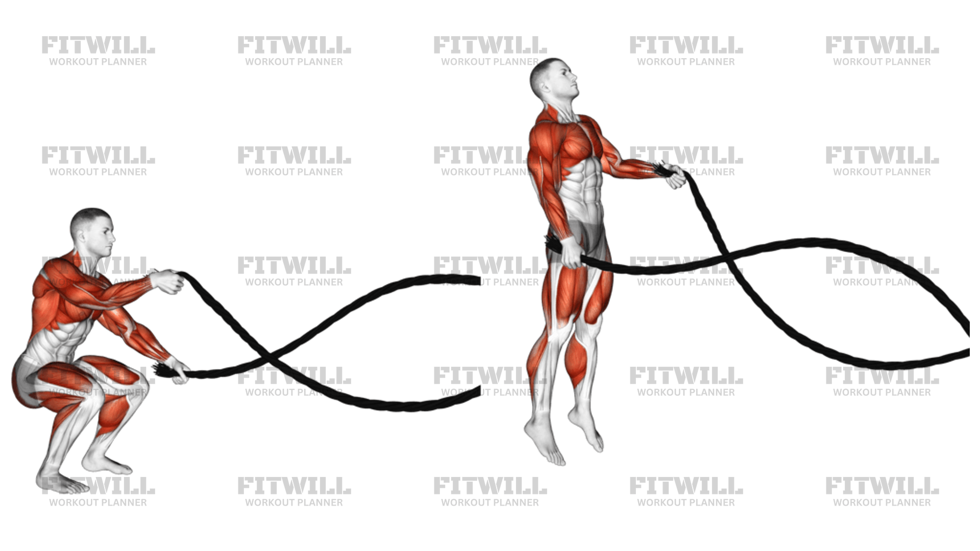 Battling Ropes Alternate Arms Jump Squat: Exercise Guide, Video ...