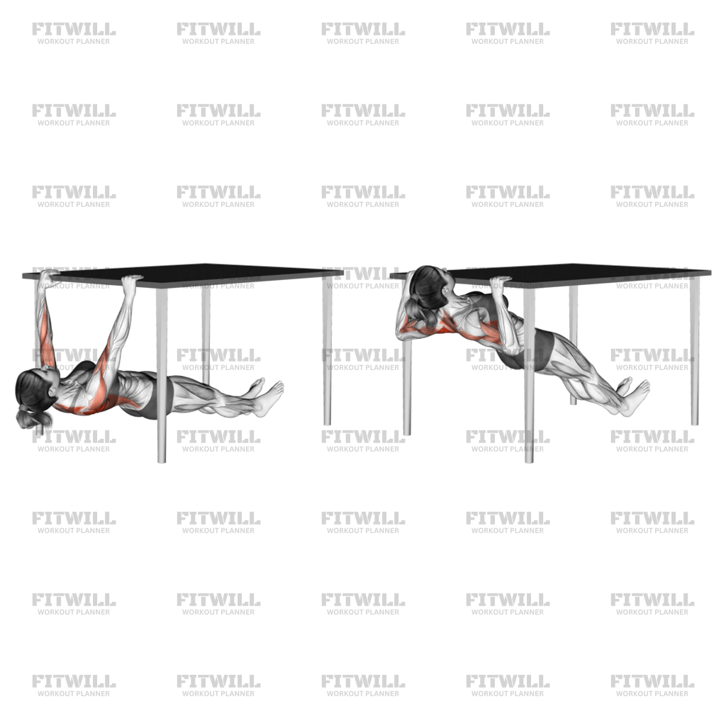 Inverted Row Under Table: Exercise Guide, Techniques, Benefits, How to ...