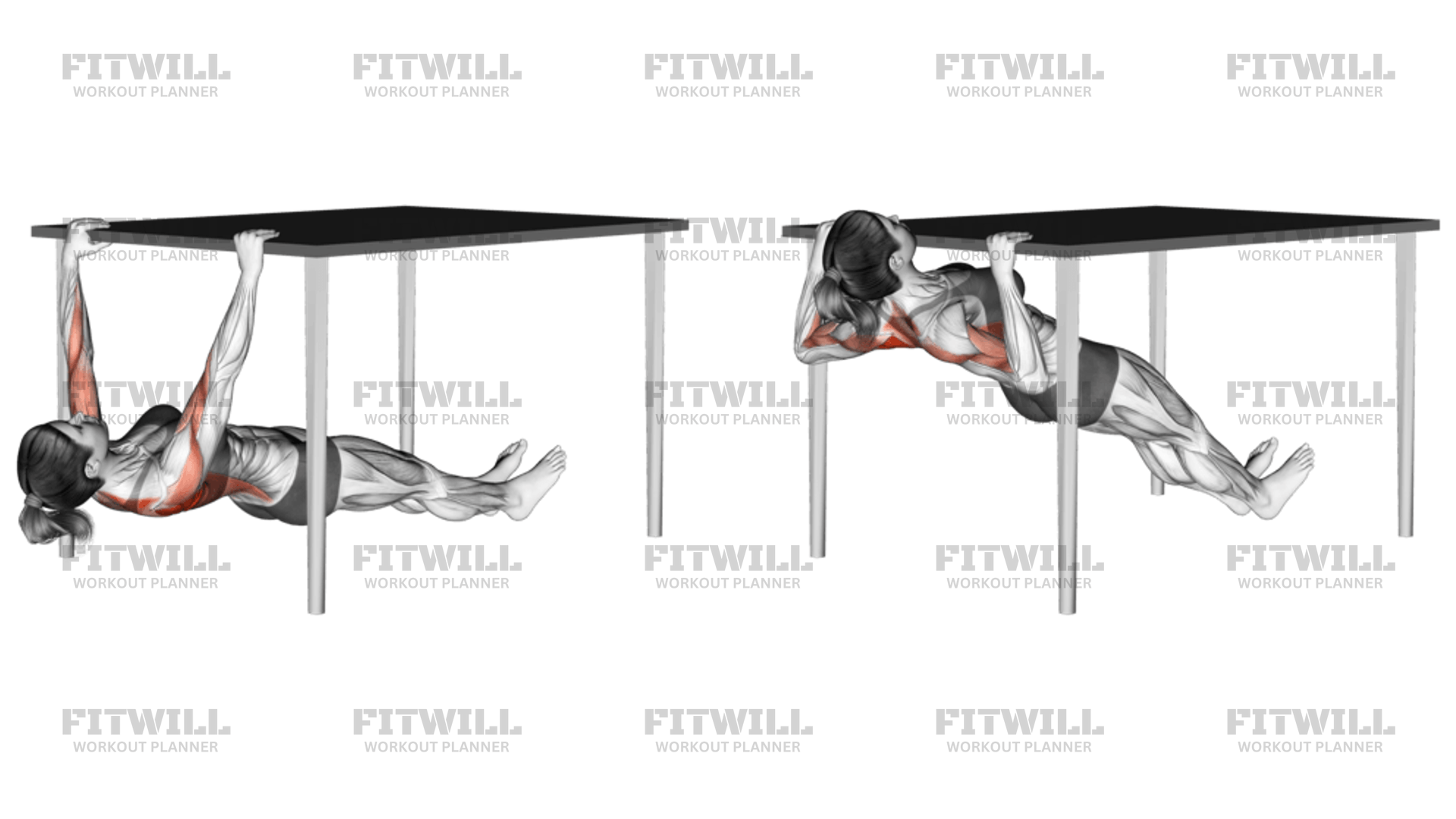 Inverted Row Under Table: Exercise Guide, Techniques, Benefits, How to ...