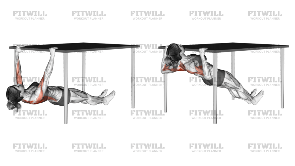 Inverted Row Under Table: Exercise Guide, Techniques, Benefits, How to ...