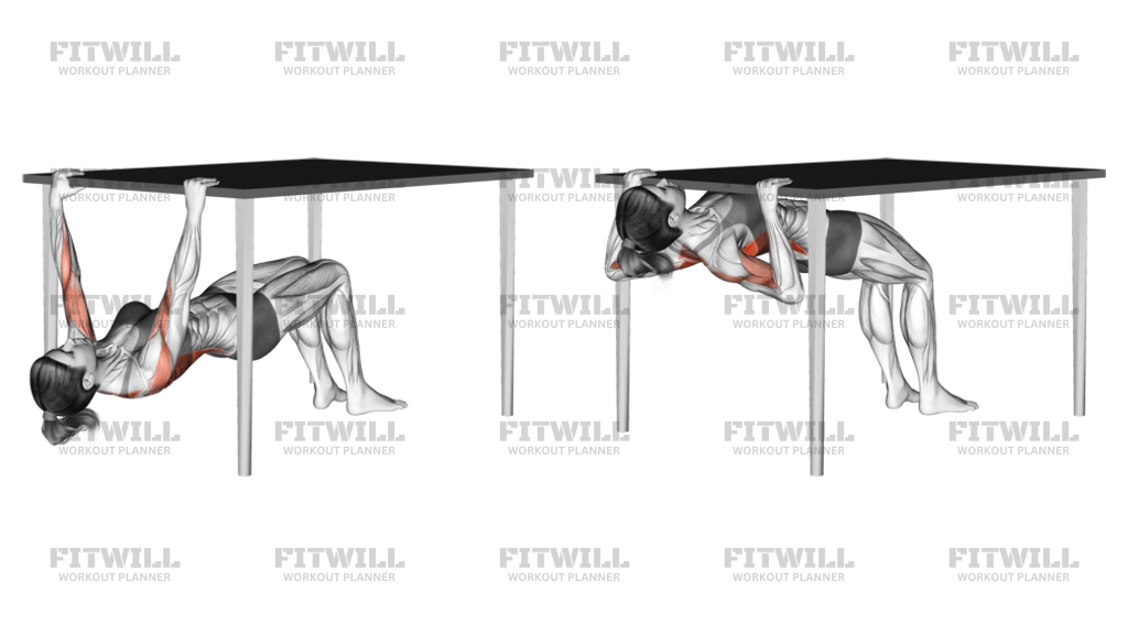 Remada Invertida Com Joelhos Flexionados Sob A Mesa: Guia de Exercícios ...