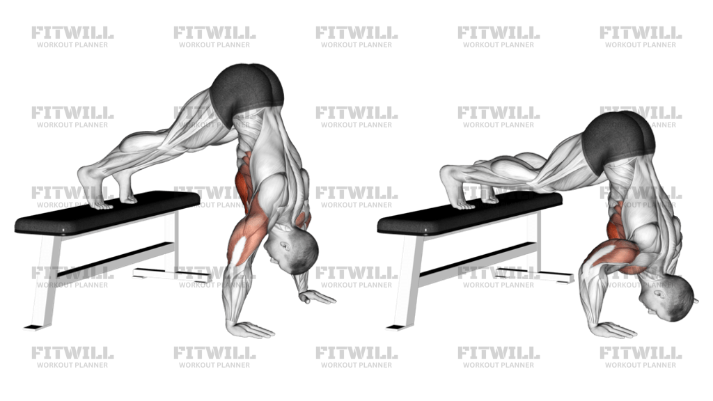 Push-up Pike Dengan Kaki Terangkat: Panduan Latihan, Video, Teknik ...