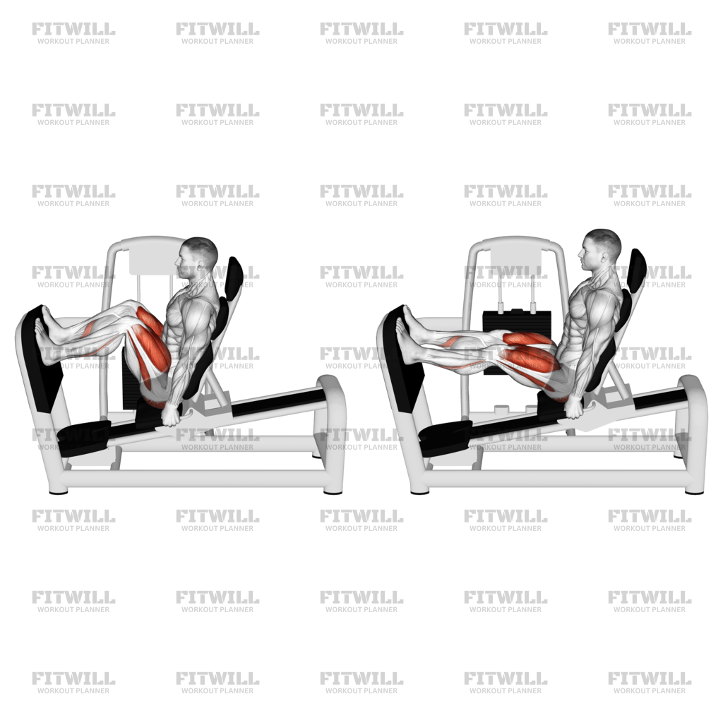 Lever Seated Leg Press (VERSION 2): Guide, Techniques, Benefits, How to ...