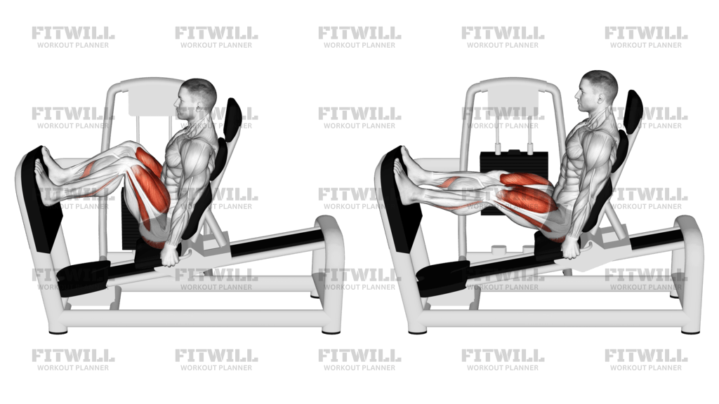 Lever Seated Leg Press Version 2: Exercise Guide, Video, Techniques ...
