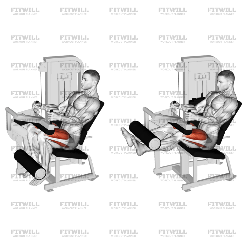 Lever Seated Leg Extension (VERSION 2): Exercise Guide, Video ...