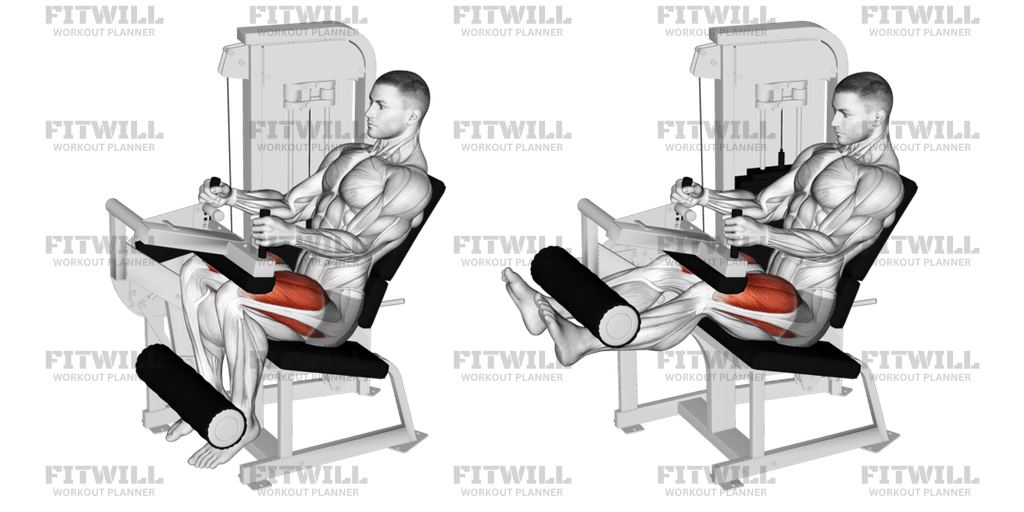 Lever Seated Leg Extension (VERSION 2): Exercise Guide, Video ...