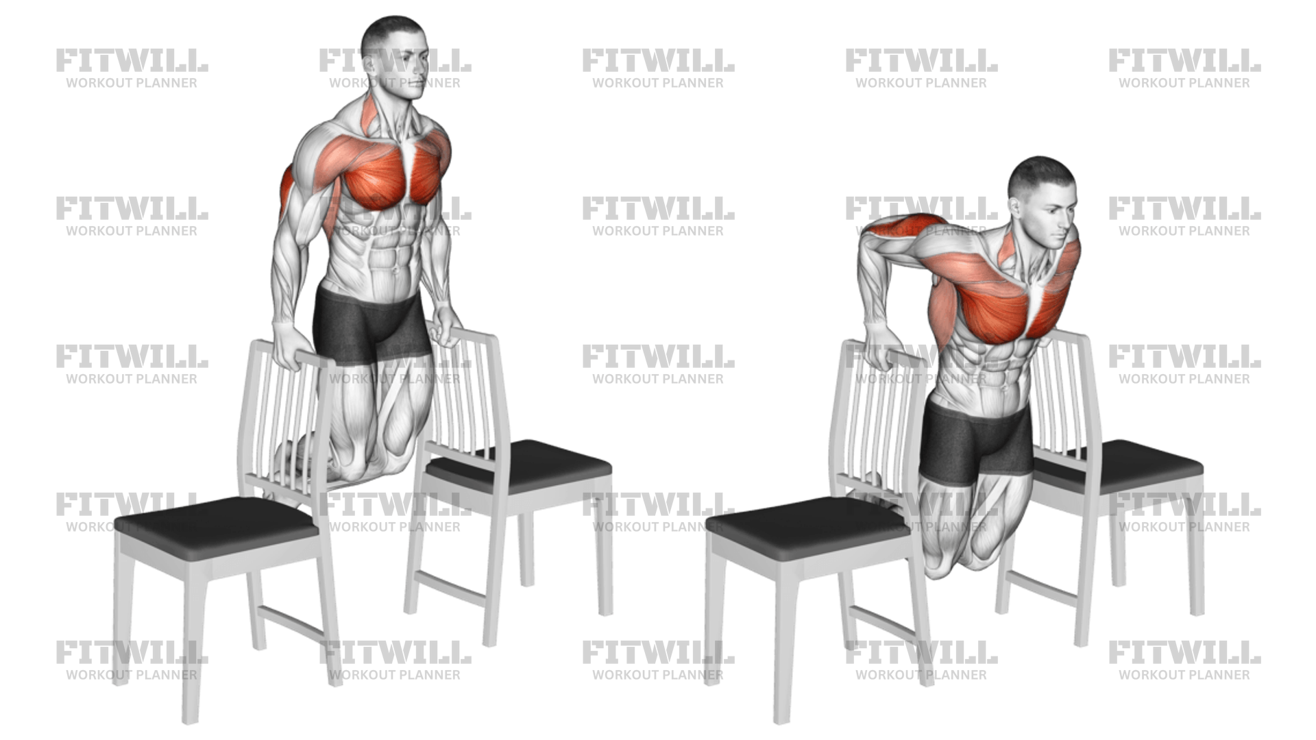 Dips Between Chairs: Exercise Guide, Video, Techniques, Benefits, How ...
