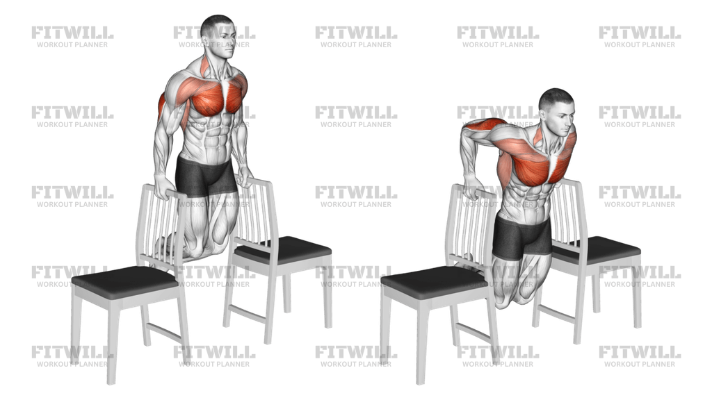 Dips Between Chairs: Exercise Guide, Video, Techniques, Benefits, How ...