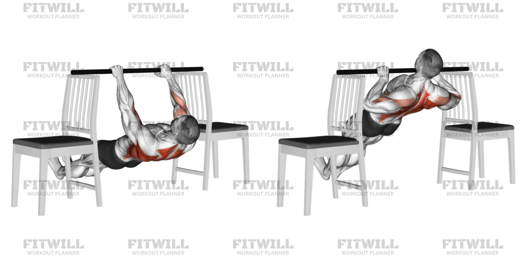 Inverted Row Between Chairs: Exercise Guide, Video, Techniques ...