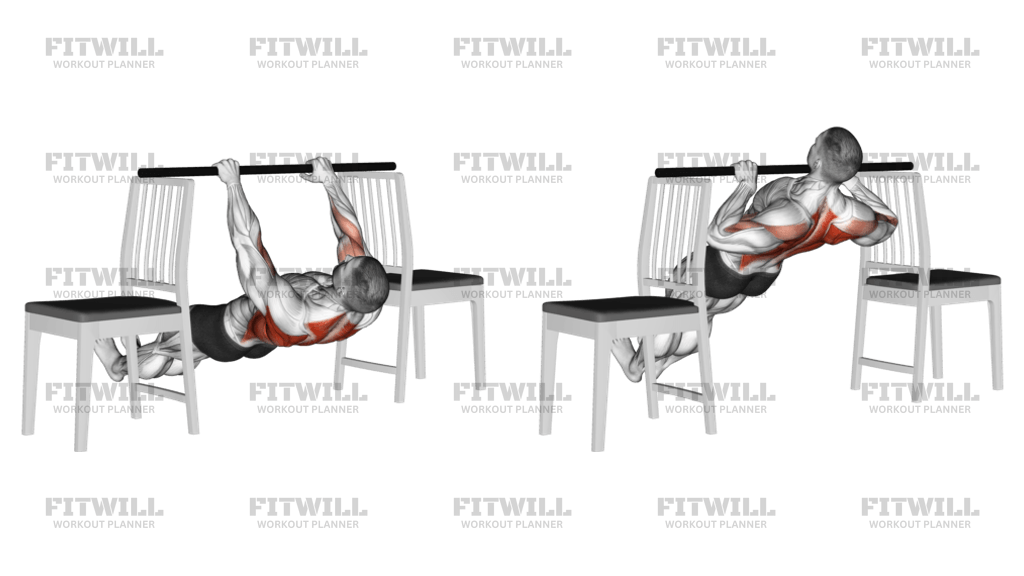 Inverted Row Between Chairs: Exercise Guide, Video, Techniques ...