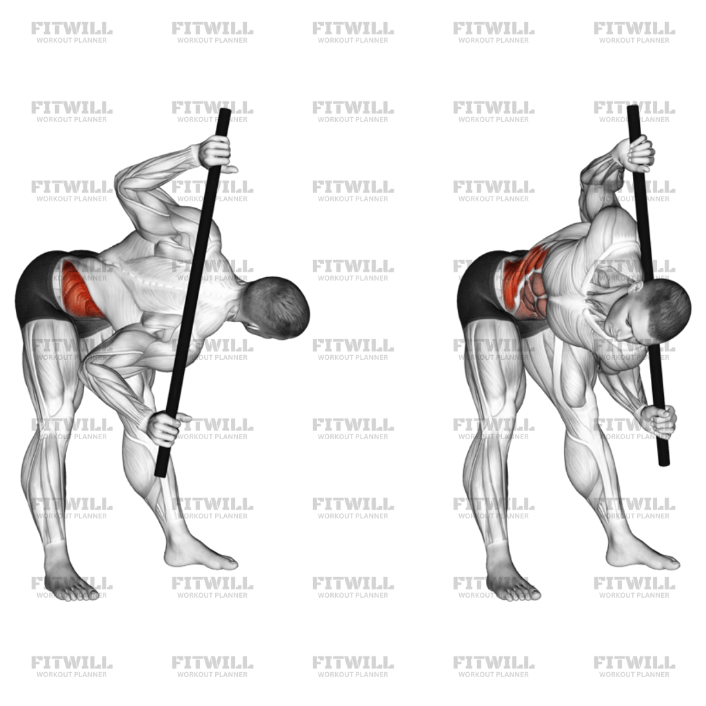 Bent Over Twist: Exercise Guide, Video, Techniques, Benefits, How to ...