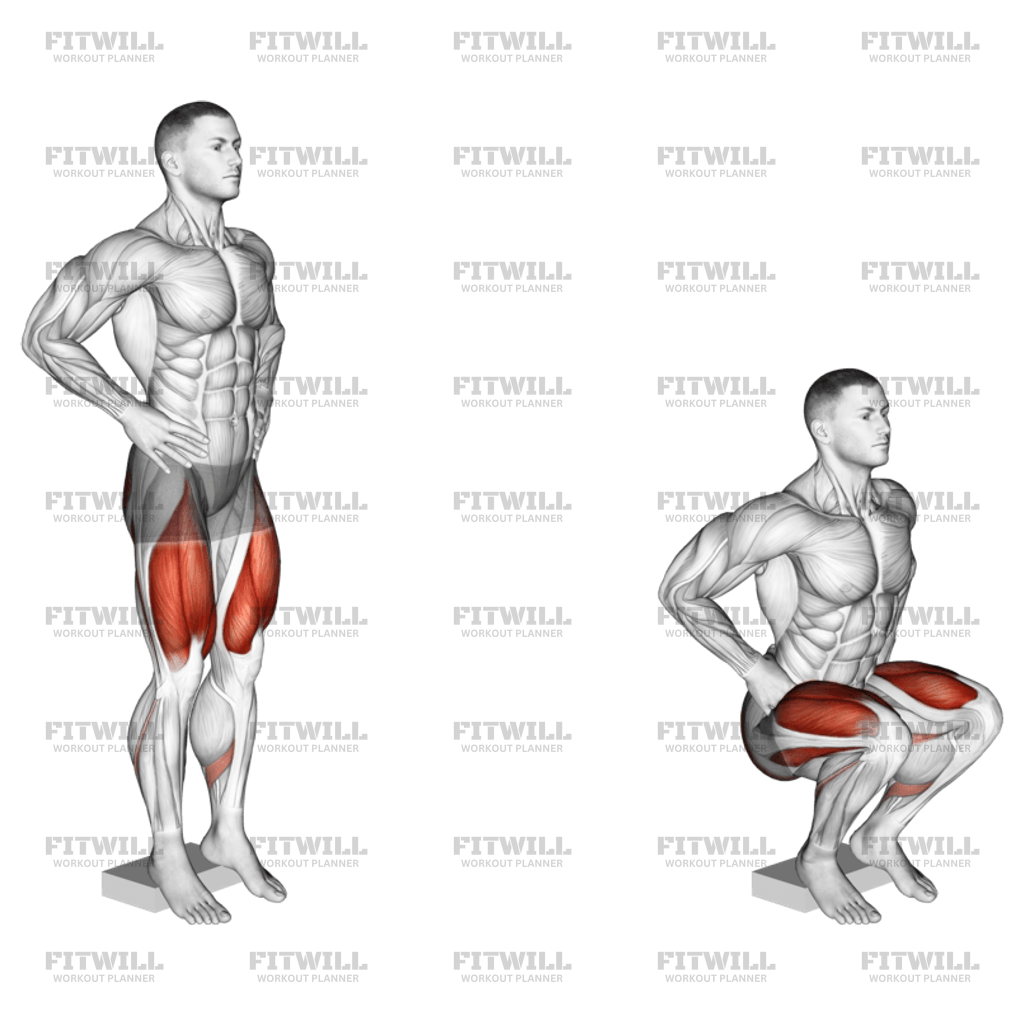 Narrow Squat From Deficit: Exercise Guide, Video, Techniques, Benefits, How to, Muscles Worked ...