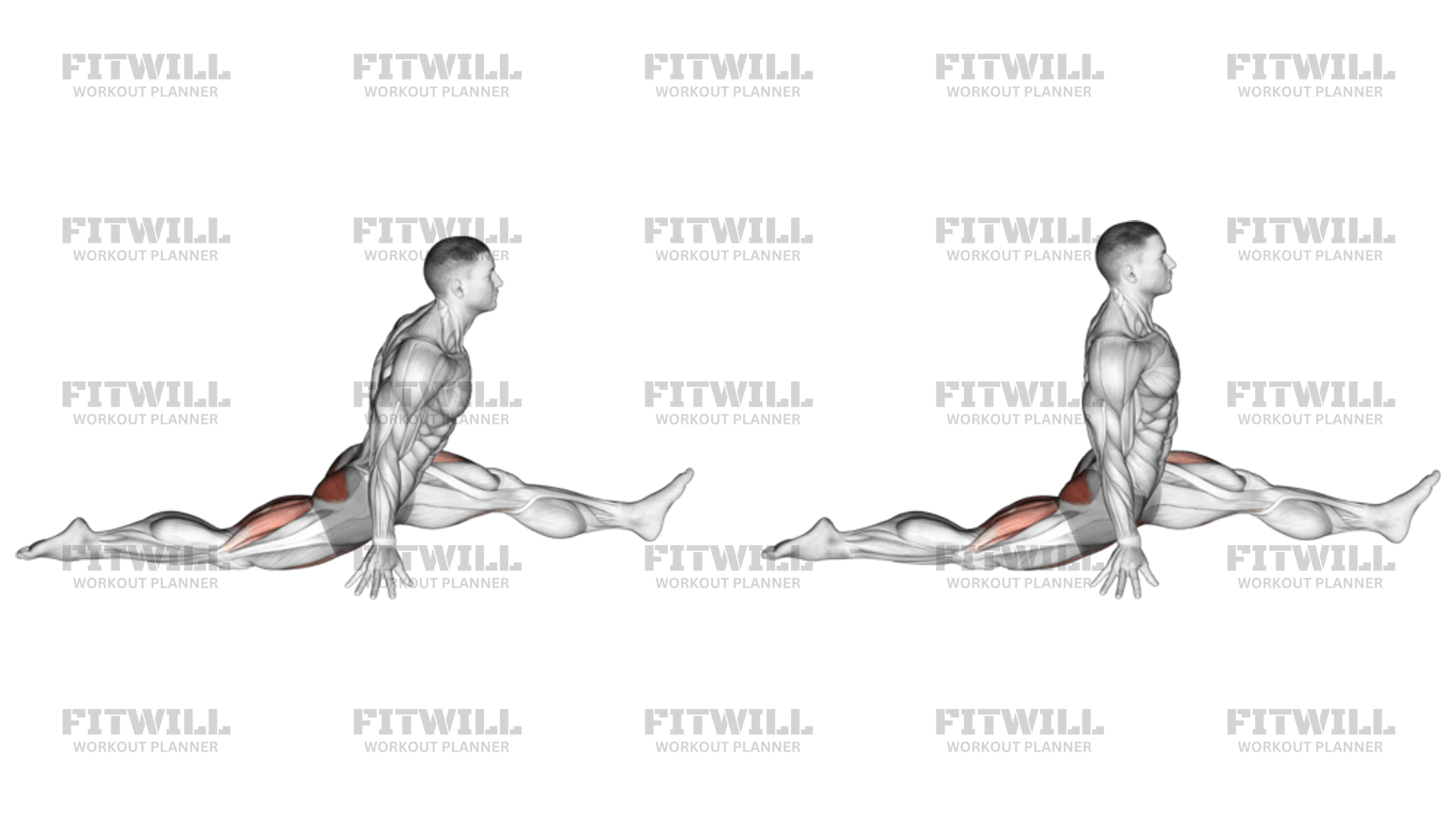 Estiramiento De Flexión Y Extensión De Cadera: Guía de Ejercicios ...
