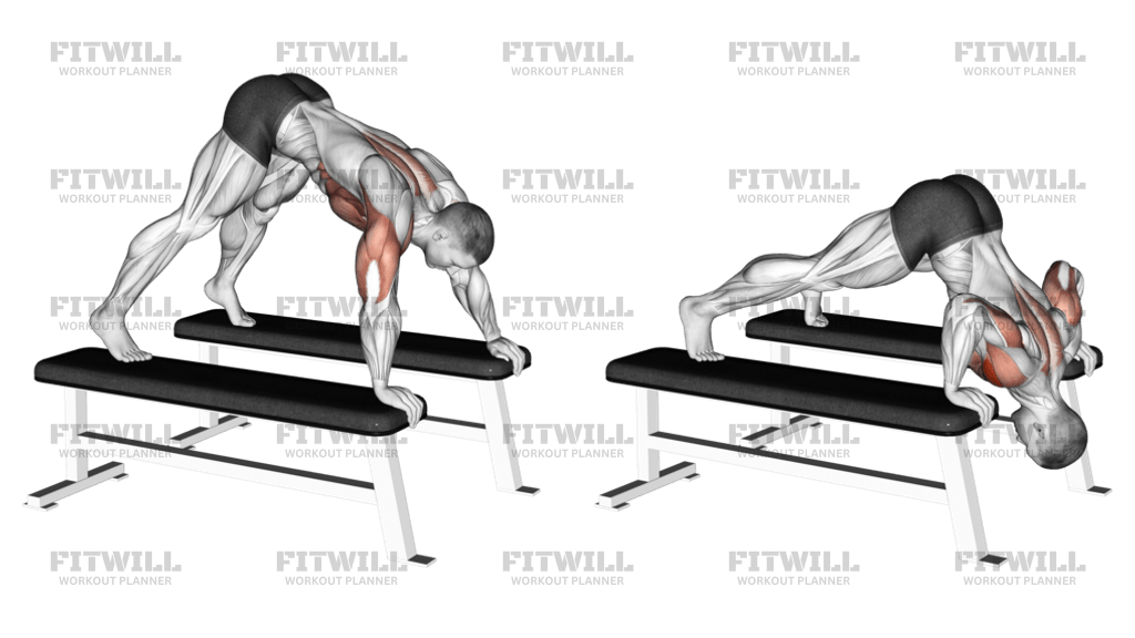 Pike Push-up (between Benches): Exercise Guide, Techniques, Benefits ...