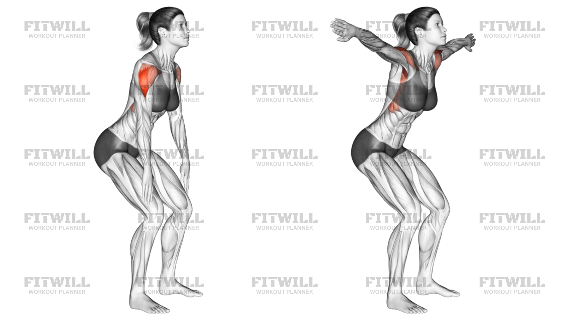 Standing T-raise: Exercise Guide, Techniques, Benefits, How to, Muscles ...