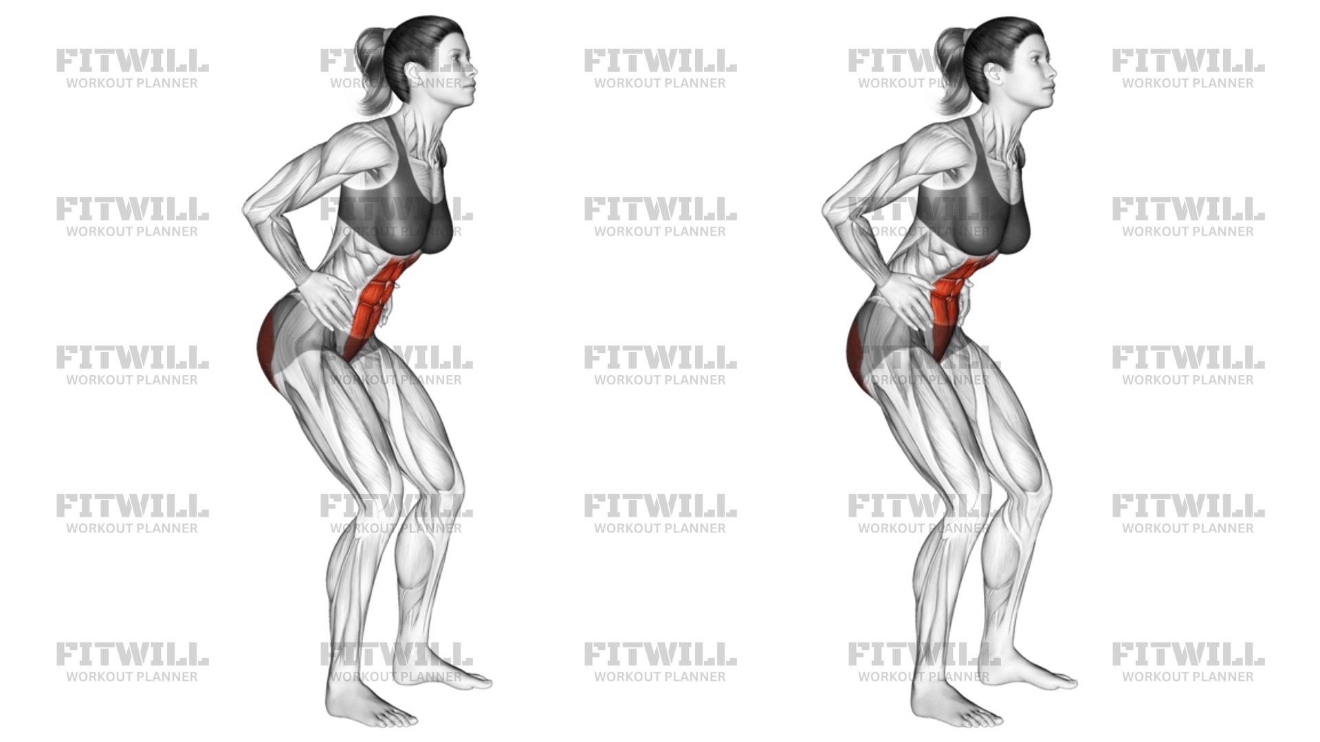 Standing Pelvic Tilt: Exercise Guide, Video, Techniques, Benefits, How ...