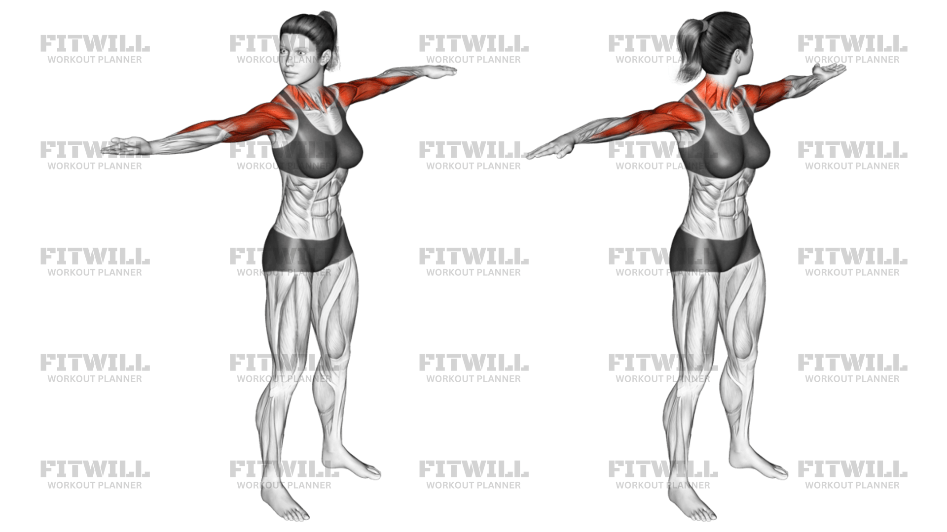 Standing Wring The Towel: Exercise Guide, Techniques, Benefits, How to ...