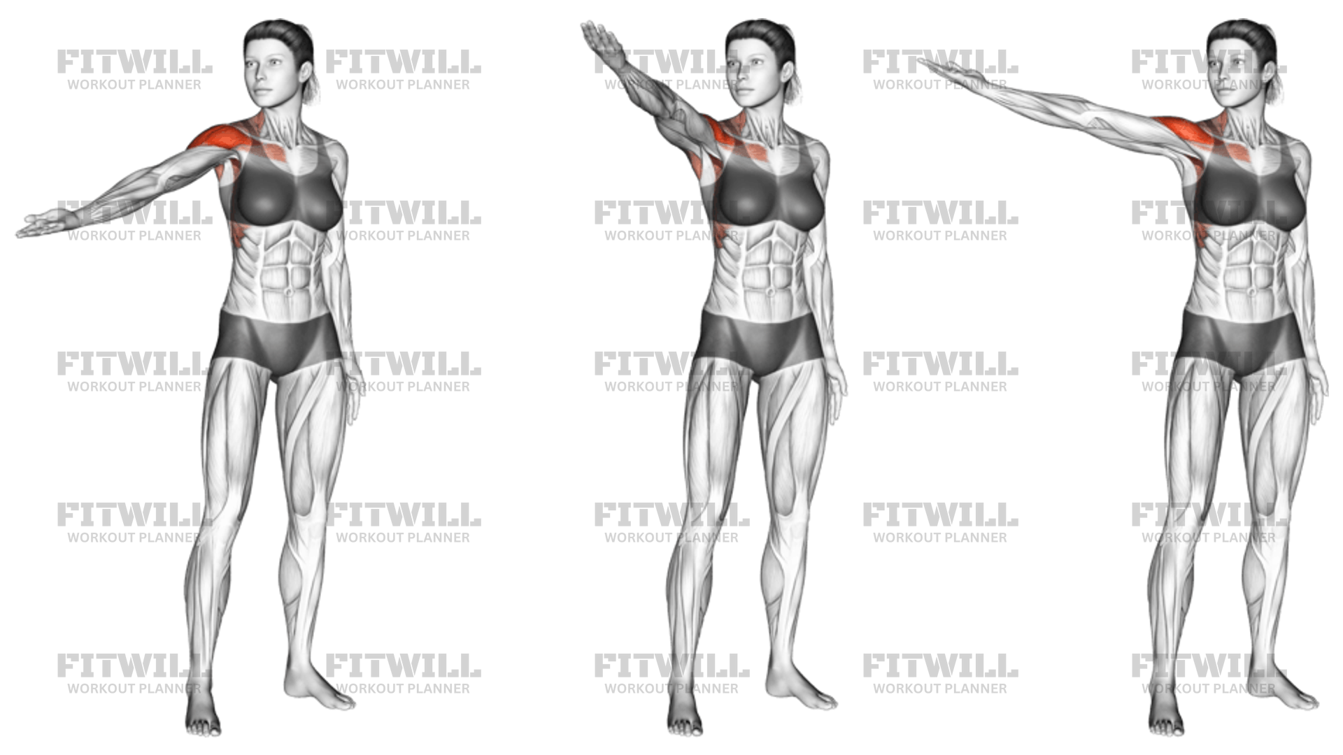 Standing Shoulder Circling: Exercise Guide, Techniques, Benefits, How ...