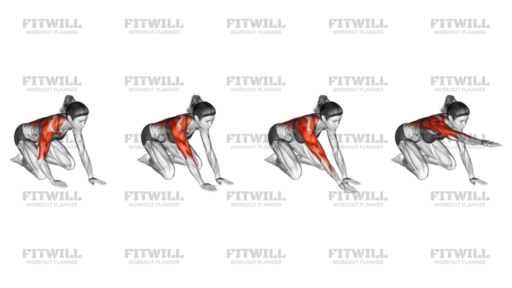 Kneeling One Arm Arm Reach Roll Lift: Exercise Guide, Techniques ...