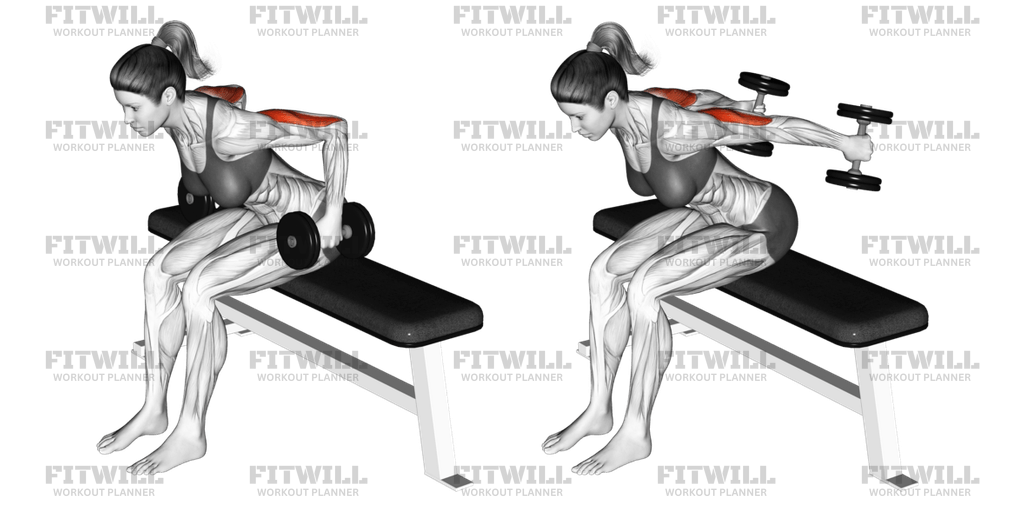 Dumbbell Seated Kickback: Guide, Techniques, Benefits, How to, Muscles ...