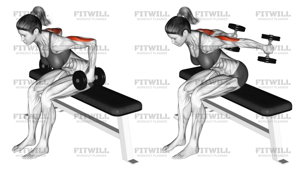 Dumbbell Seated Kickback: Exercise Guide, Video, Techniques, Benefits ...