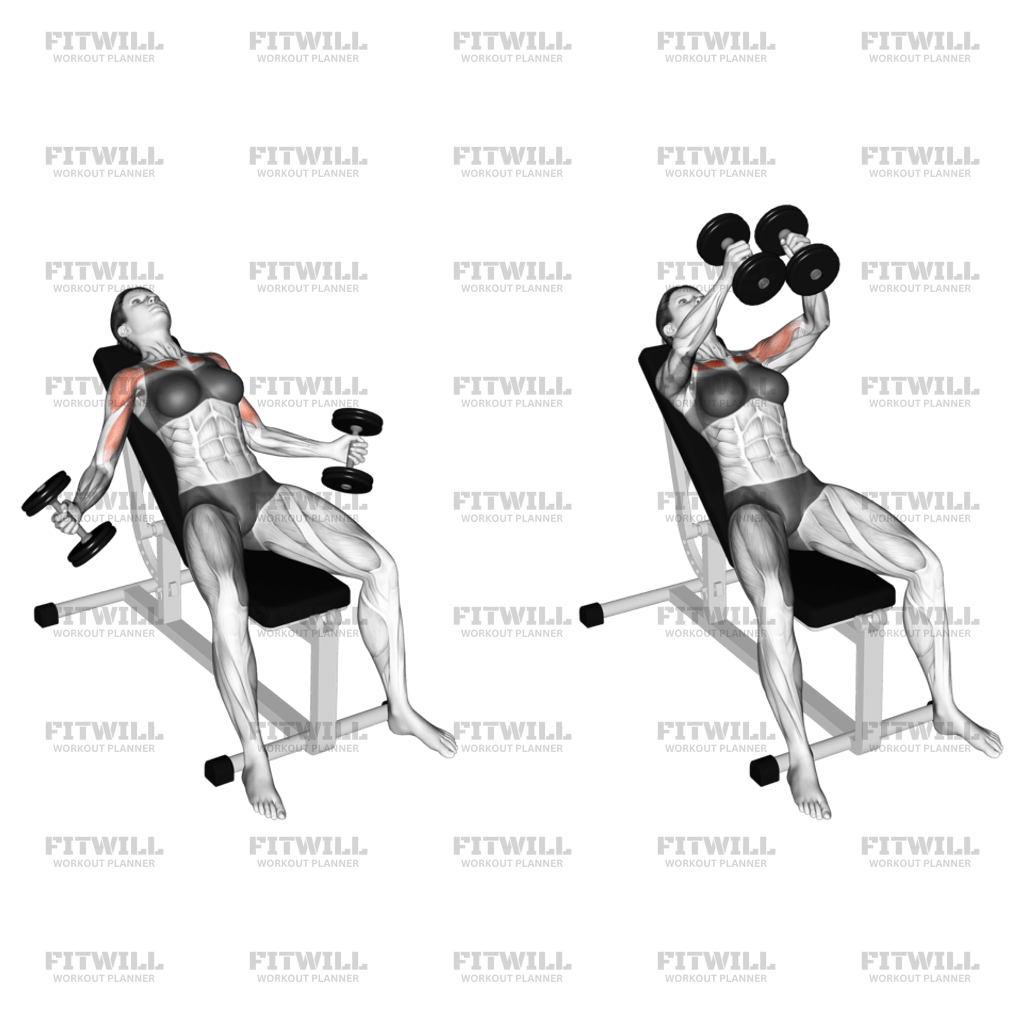 Hyght Dumbbell Fly: Exercise Guide, Video, Techniques, Benefits, How to ...