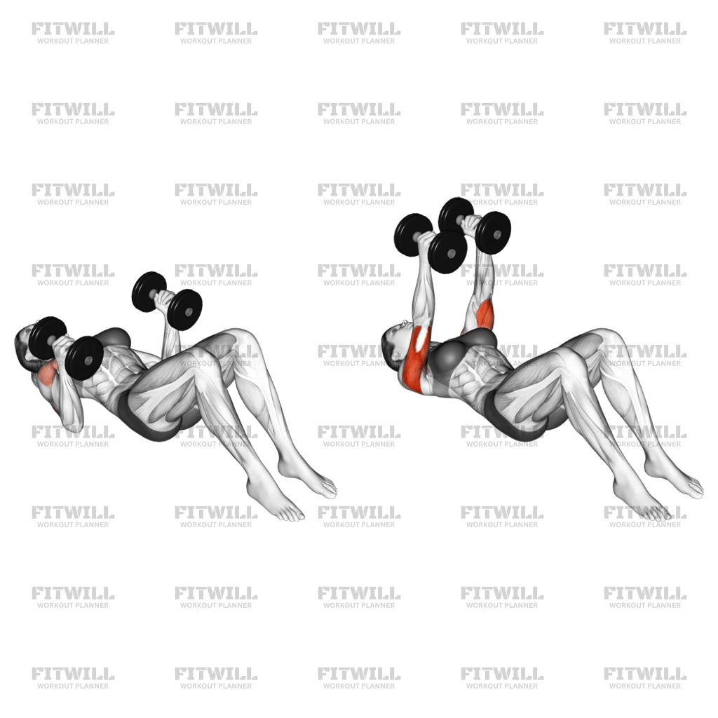 Press Hammer Com Halteres Deitado No Chão: Guia de Exercícios, Vídeo, Técnicas, Benefícios, Como ...