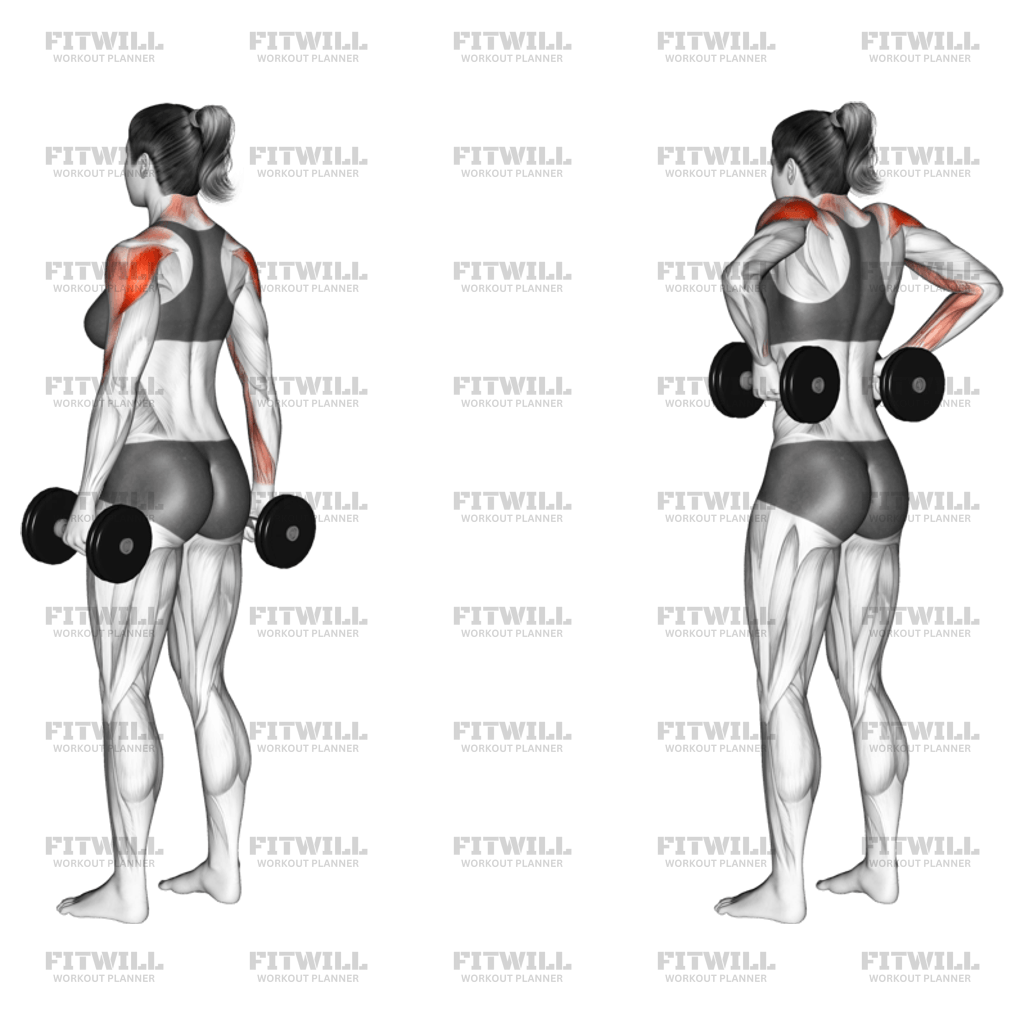 Dumbbell Rear Delt Raise: Exercise Guide, Video, Techniques, Benefits ...
