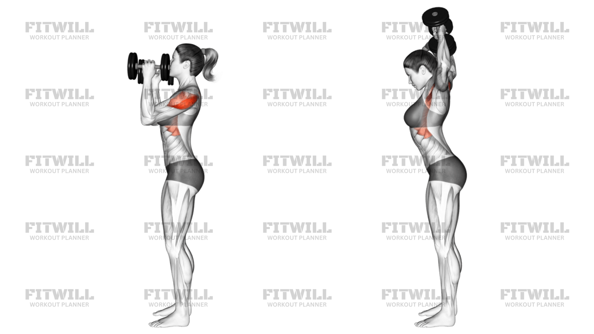 Dumbbell Scott Press: Exercise Guide, Techniques, Benefits, How to ...