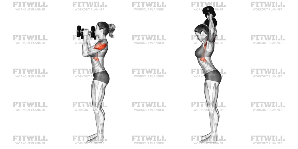 Dumbbell Scott Press: Exercise Guide, Techniques, Benefits, How to ...