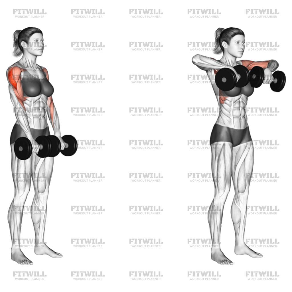 Dumbbell Upright Row: Exercise Guide, Video, Techniques, Benefits, How ...