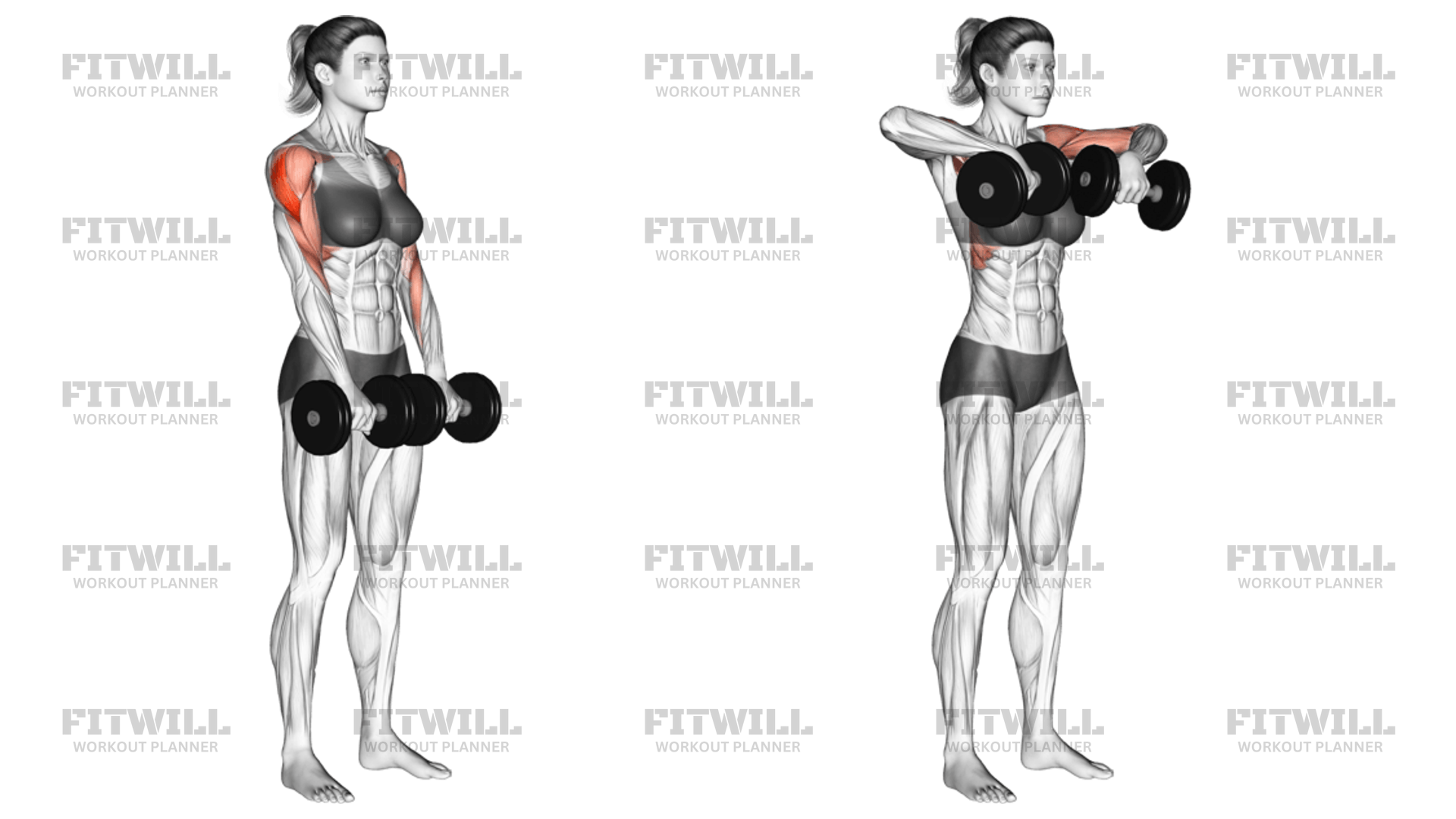 Dumbbell Upright Row: Exercise Guide, Video, Techniques, Benefits, How ...
