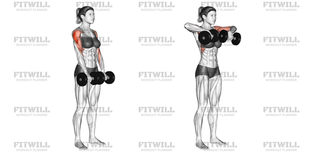 Dumbbell Upright Row: Exercise Guide, Video, Techniques, Benefits, How ...