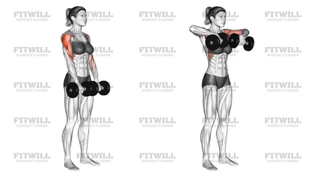 Dumbbell Upright Row: Exercise Guide, Video, Techniques, Benefits, How ...