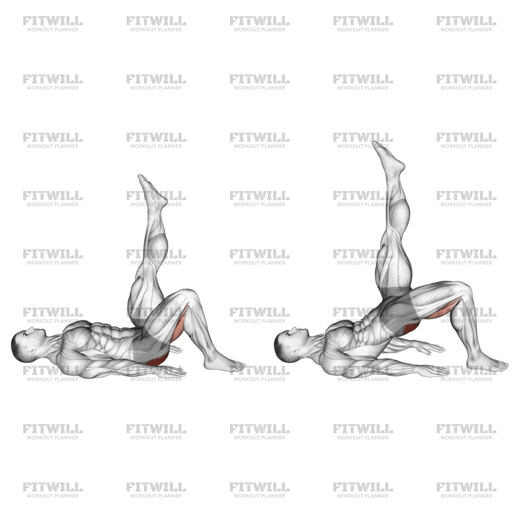Single Leg Hip Bridge (straight Leg): Exercise Guide, Techniques ...