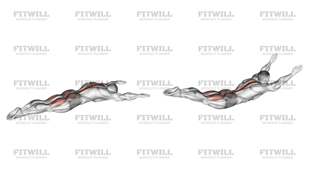 Superman: Exercise Guide, Video, Techniques, Benefits, How to, Muscles ...