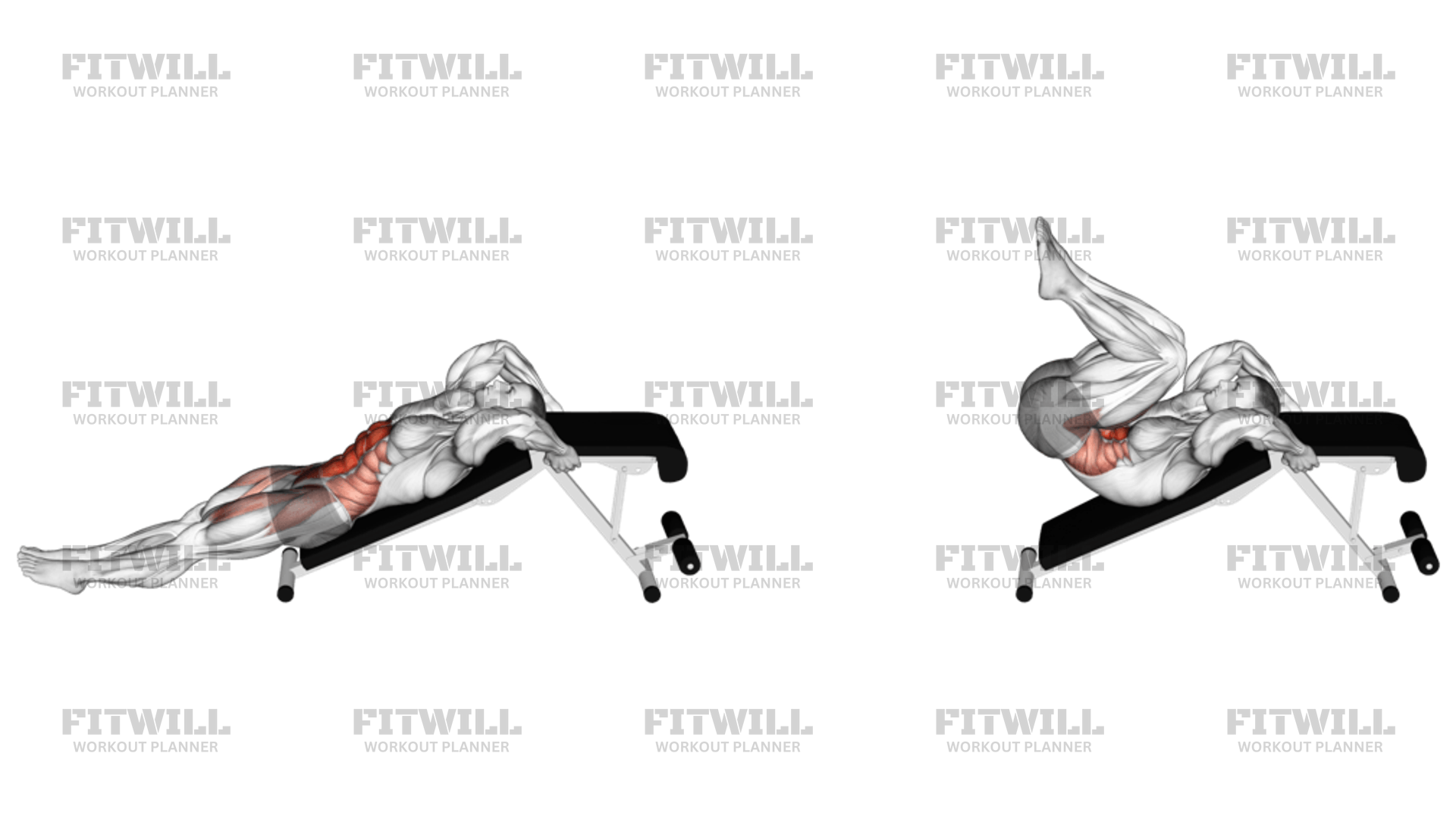 Decline Leg Hip Raise: Exercise Guide, Video, Techniques, Benefits, How ...