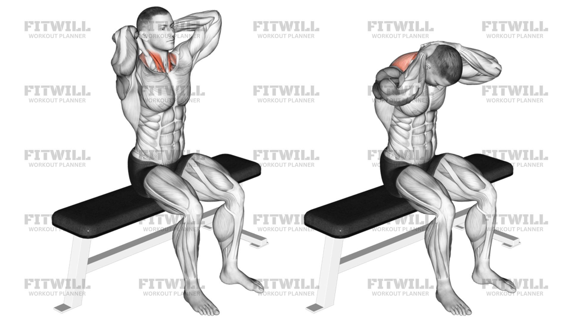 Seated Flexion And Extension Neck: Exercise Guide, Video, Techniques ...