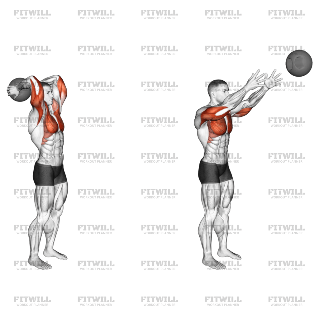 Medicine Ball Standing Overhead Throw: Exercise Guide, Techniques ...