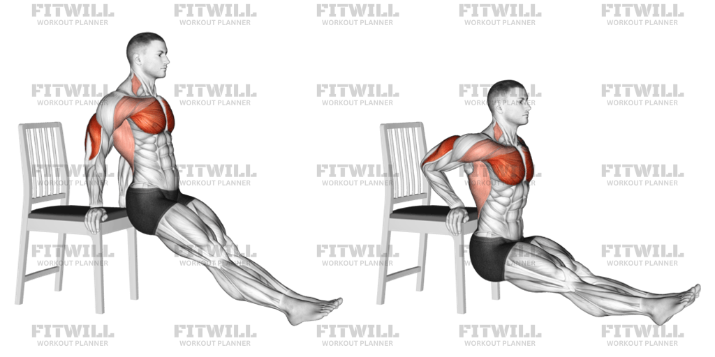 Dip On Floor With Chair: Exercise Guide, Video, Techniques, Benefits ...