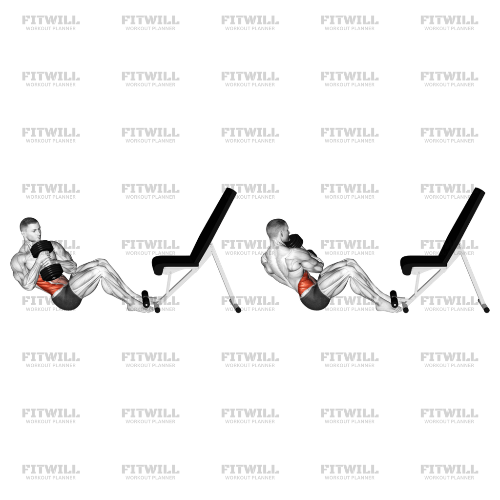 Dumbbell Russian Twist: Exercise Guide, Video, Techniques, Benefits ...