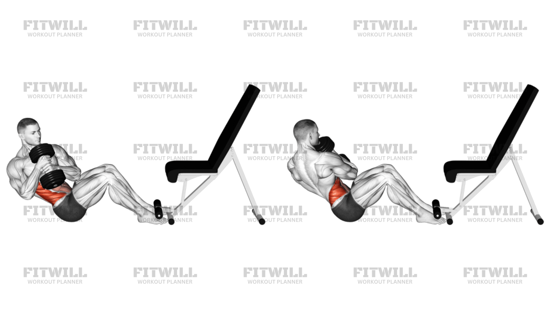 Dumbbell Russian Twist: Exercise Guide, Video, Techniques, Benefits ...