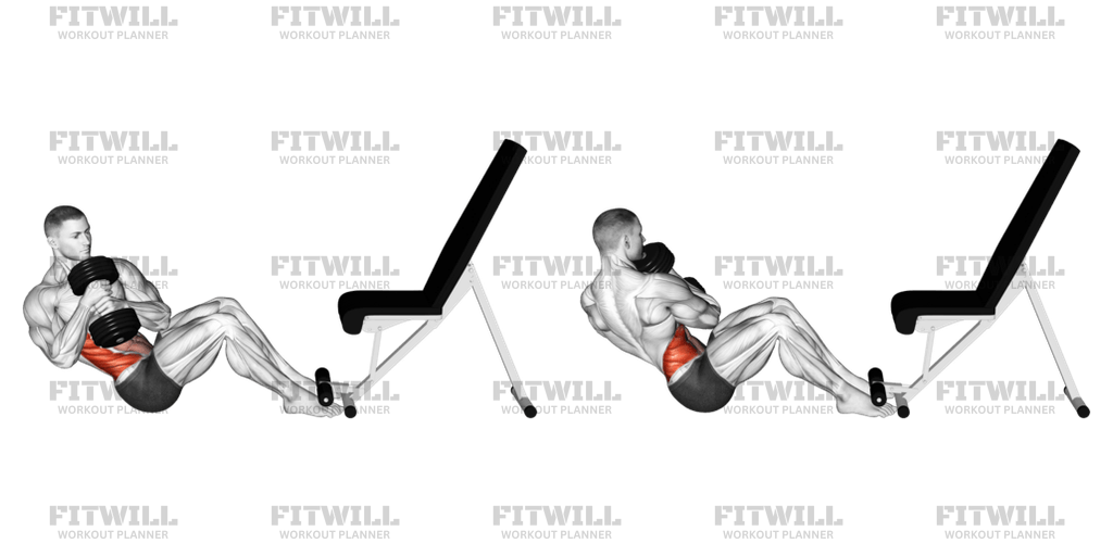 Dumbbell Russian Twist: Exercise Guide, Video, Techniques, Benefits ...