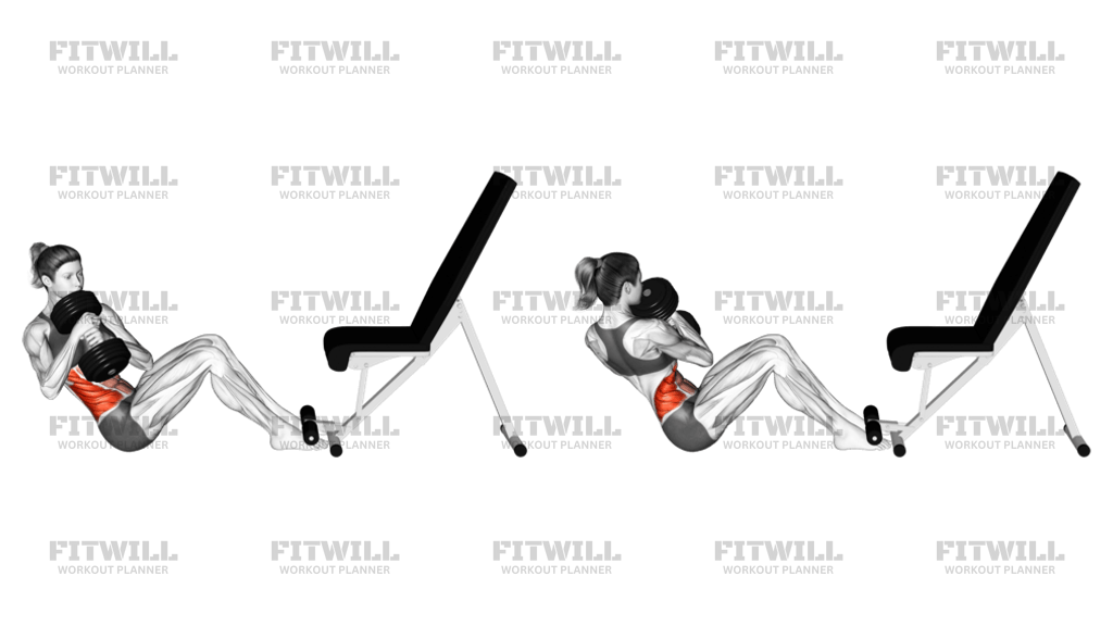 Dumbbell Russian Twist: Exercise Guide, Techniques, Benefits, How to ...